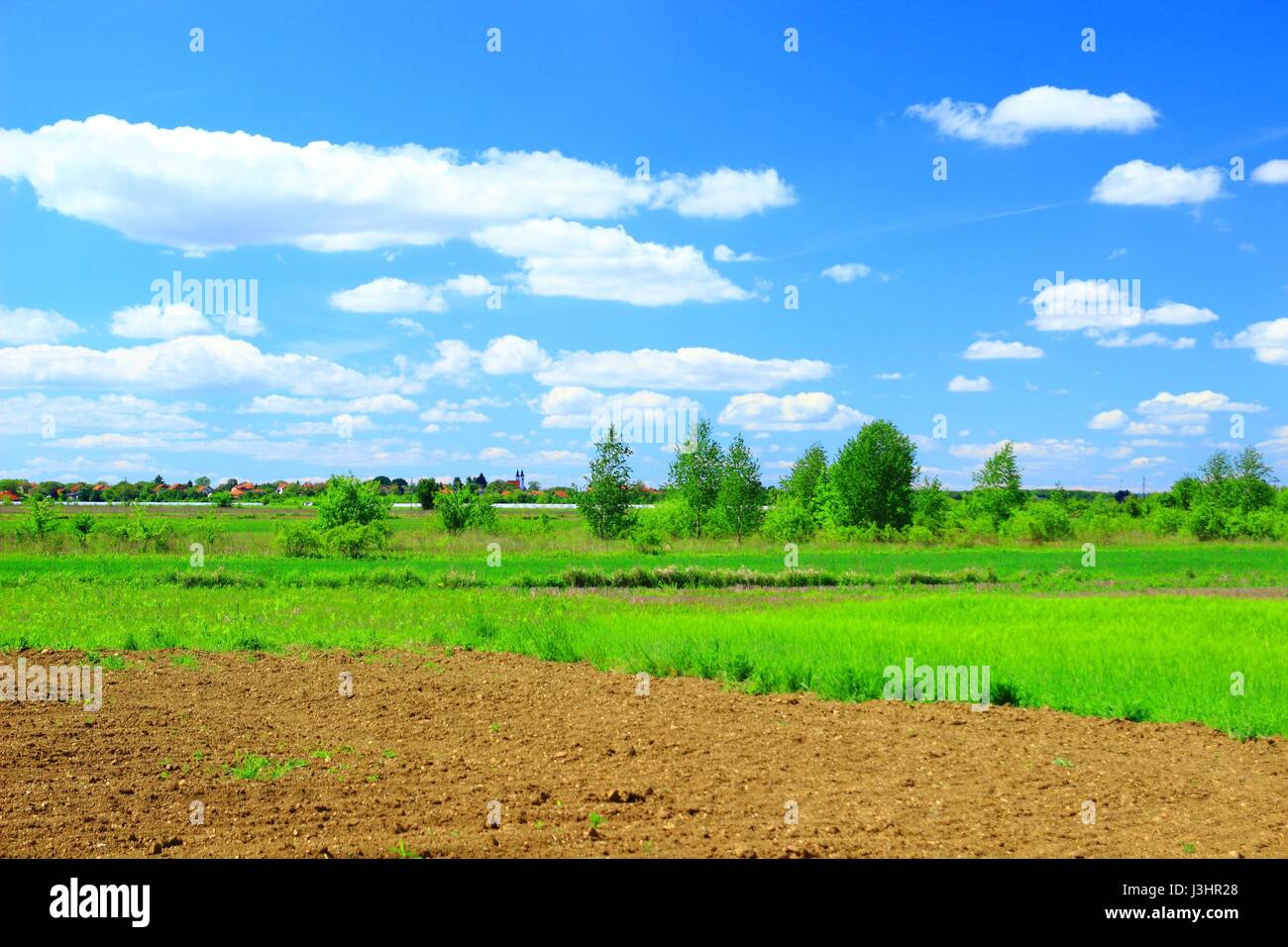 Green fields in spring Stock Photo - Alamy