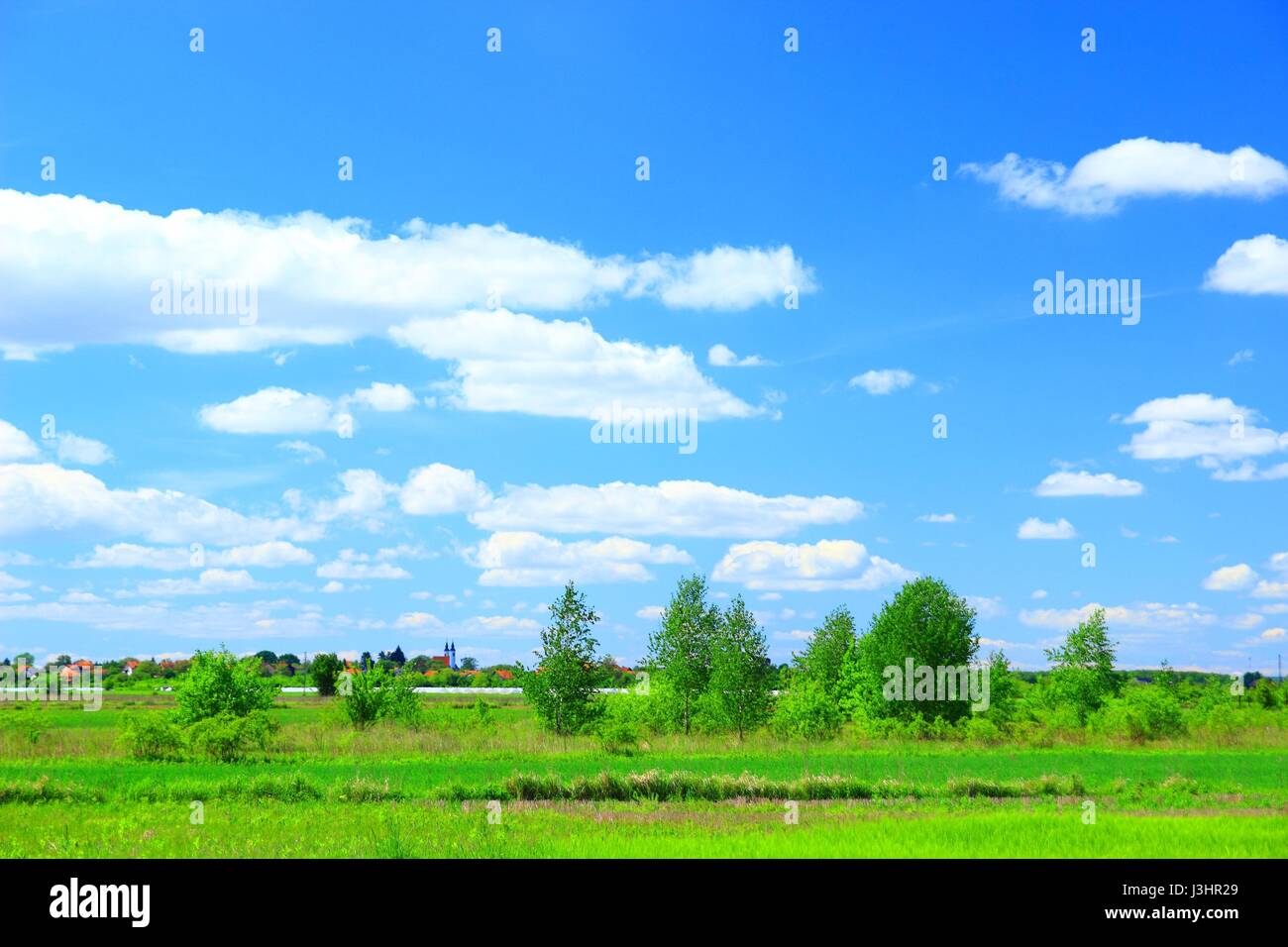 Green fields in spring Stock Photo - Alamy