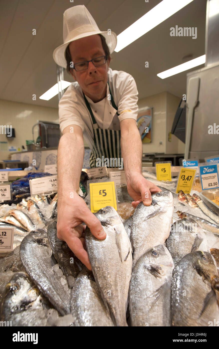 Morrisons Fish Counter High Resolution Stock Photography and Images - Alamy