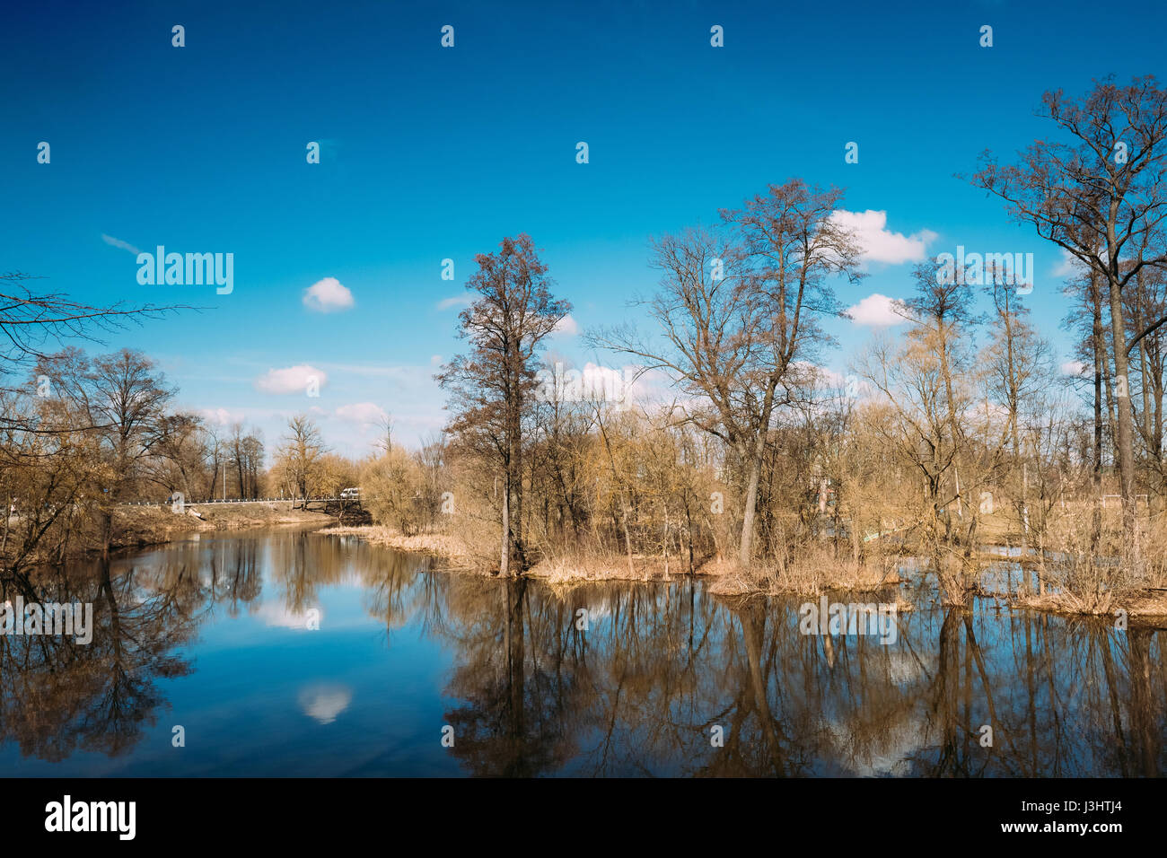 Spring Nature. Trees Woods Standing In Water During A Spring Flood ...