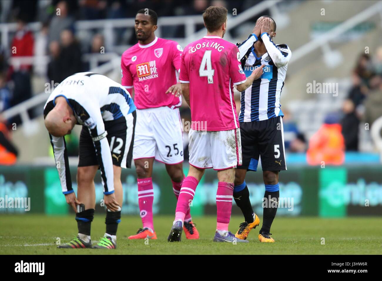 Sylvain distin newcastle hi-res stock photography and images - Alamy