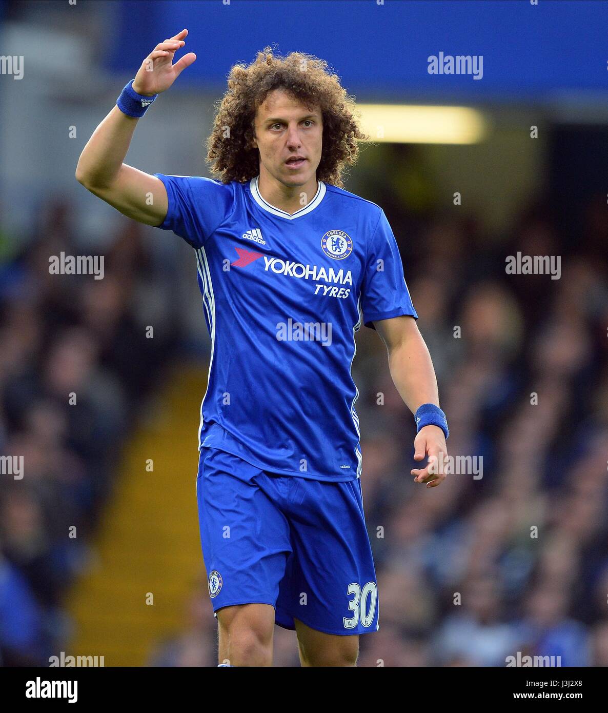 DAVID LUIZ OF CHELSEA CHELSEA V MANCHESTER UNITED STAMFORD BRIDGE ...