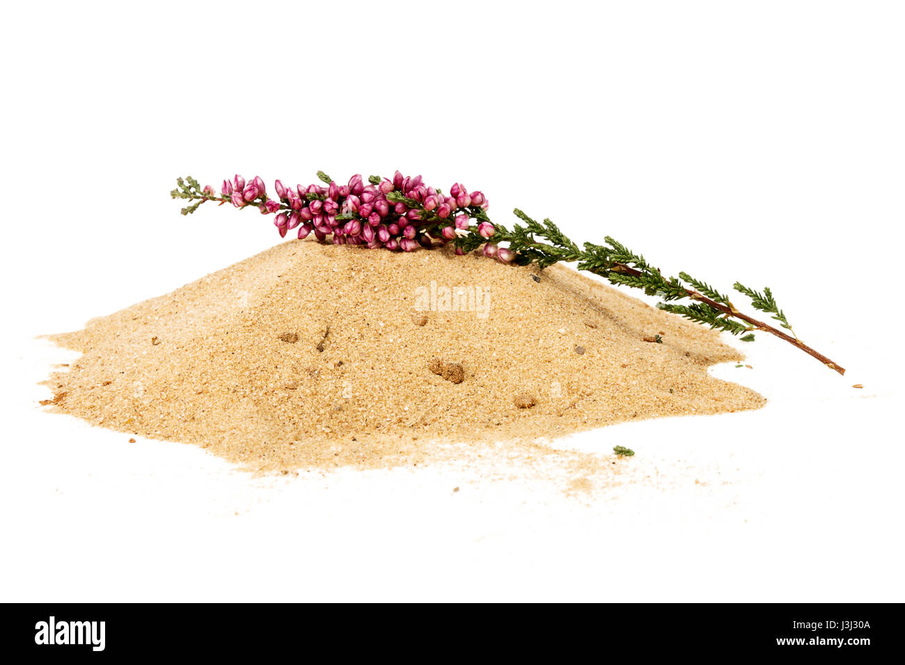 Heather sand hi-res stock photography and images - Alamy