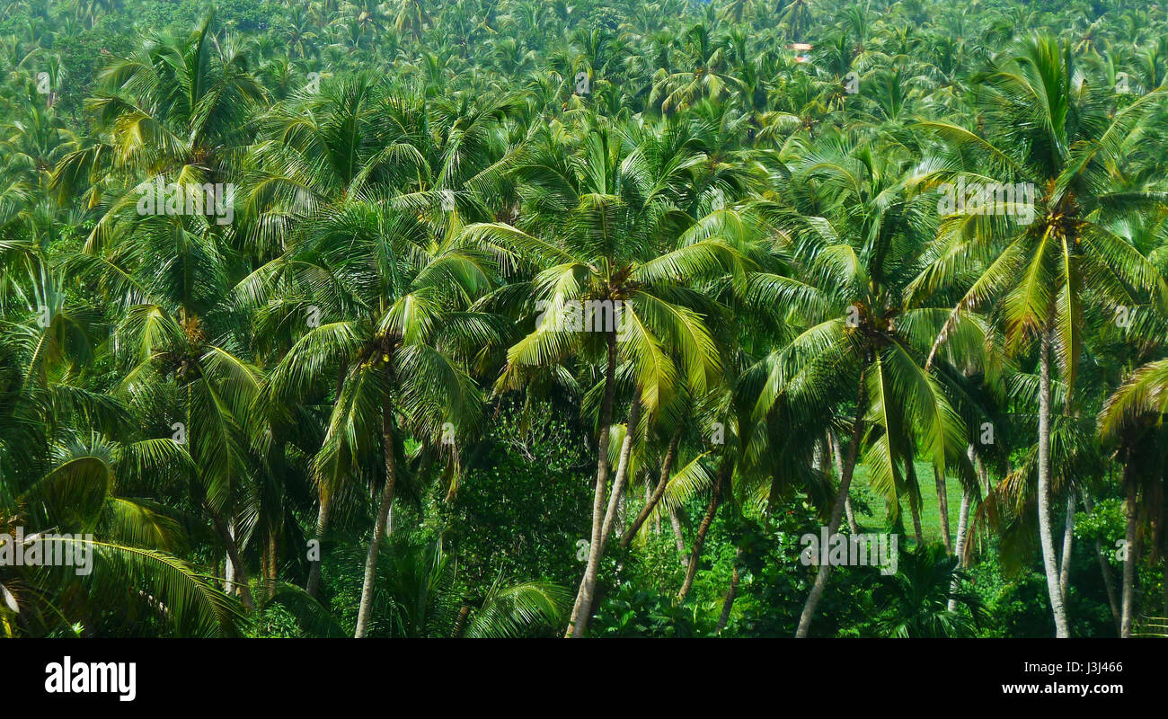 Huge spreading hi-res stock photography and images - Alamy