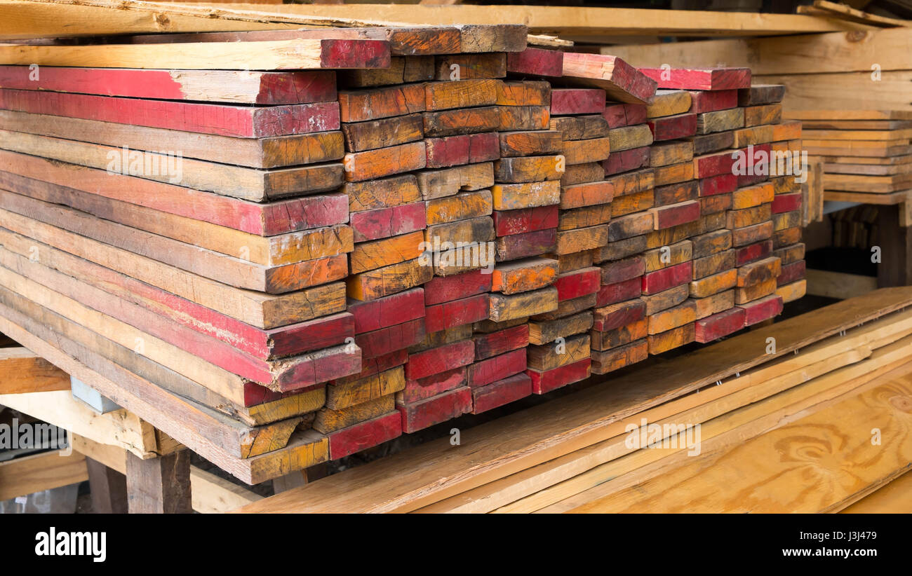 Rubberwood tree hi-res stock photography and images - Alamy