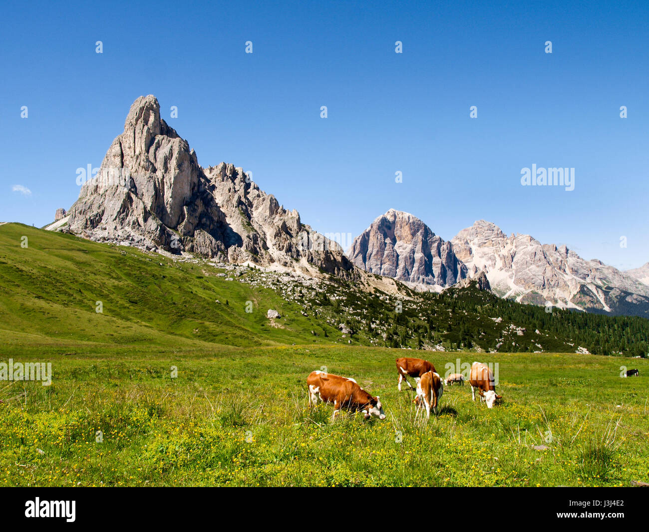 Alpine landscape in dolomites grazing hi-res stock photography and ...