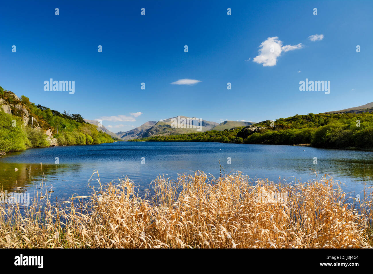 View of Snowdon with Crib Goch (Red Comb) on the left, Carnedd Ugain ...