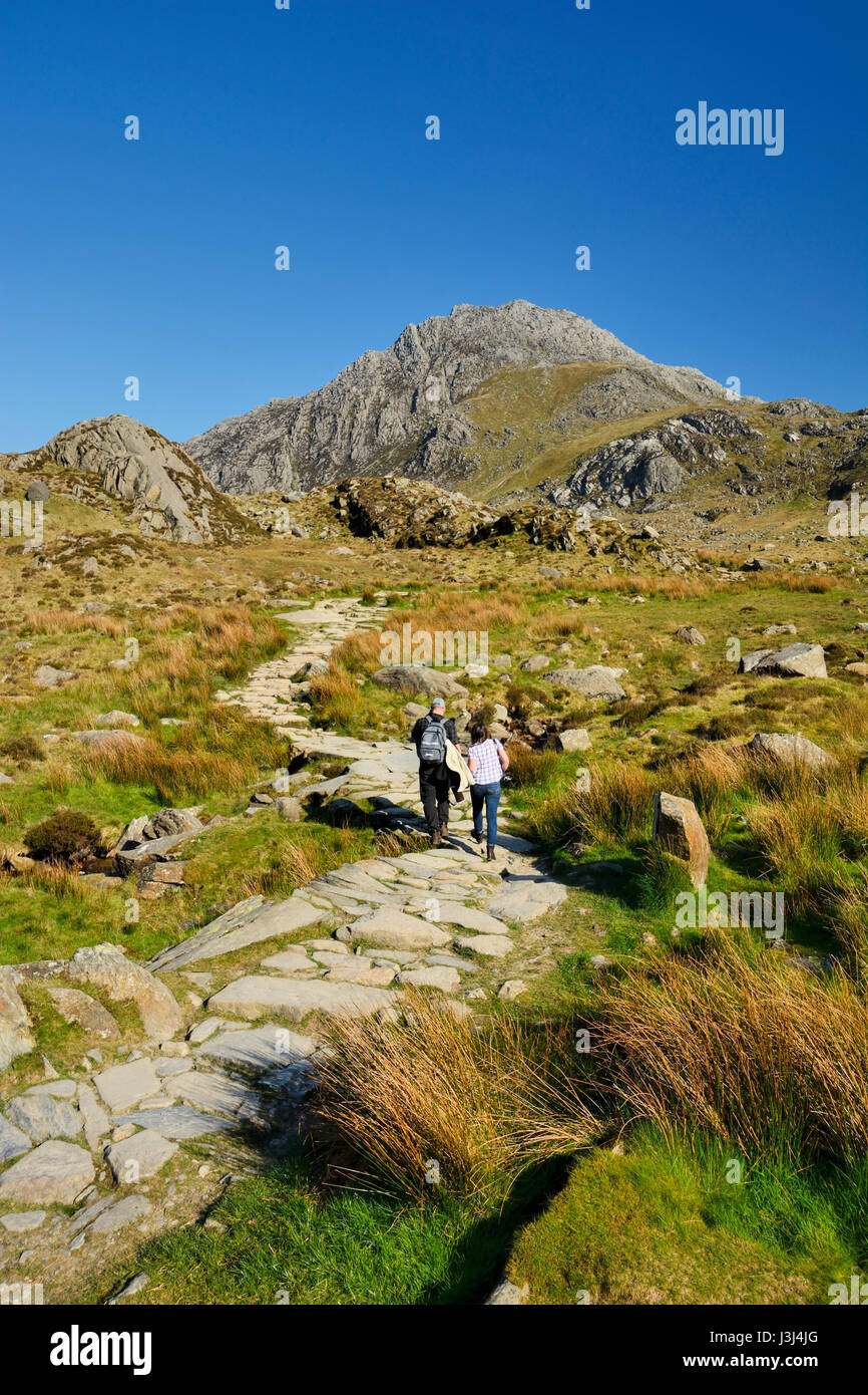 Tryfan, a rugged mountain in the Snowdonia National Park, one of the 14 ...