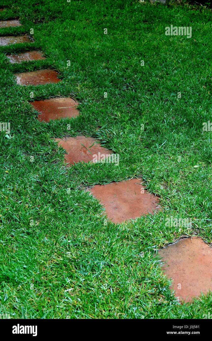 cut grass and tiles Stock Photo - Alamy