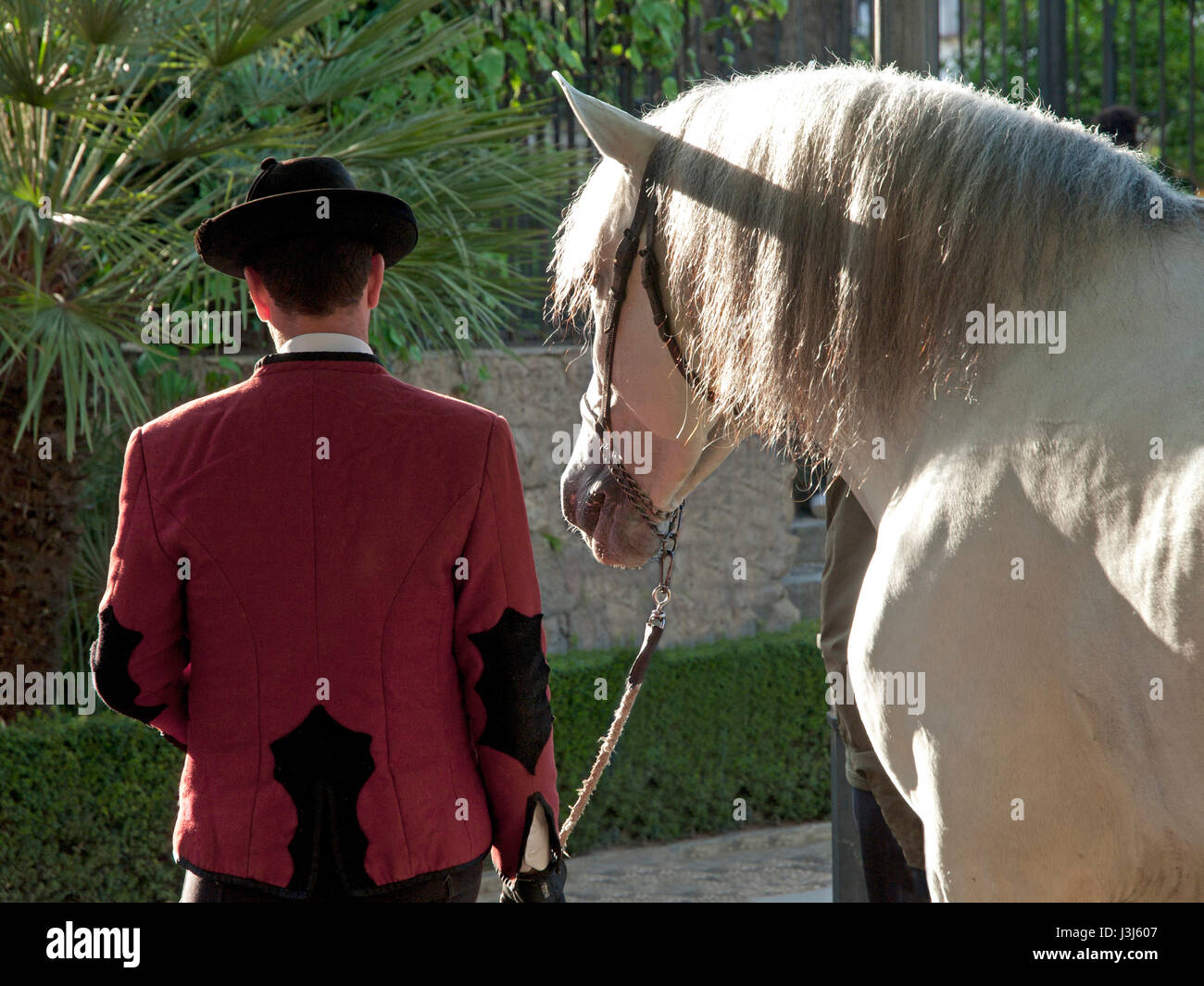 Spanish Horse Rider High Resolution Stock Photography and Images - Alamy