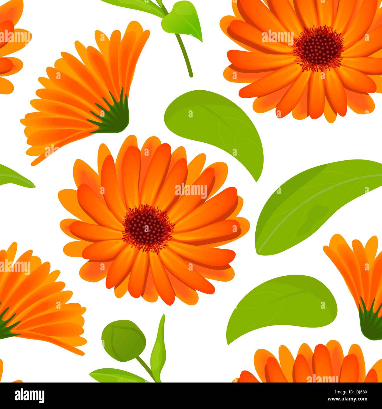 Orange green marigold flowers Stock Vector Images - Alamy