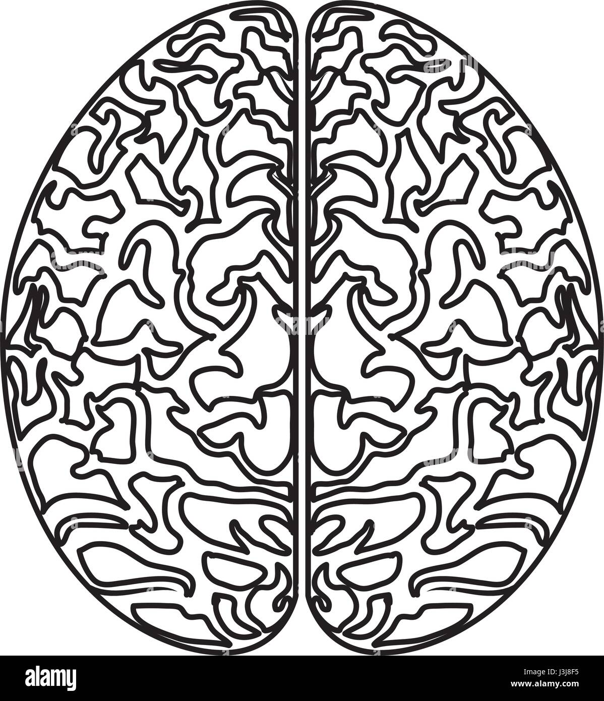 Human brain symbol Stock Vector Image & Art - Alamy