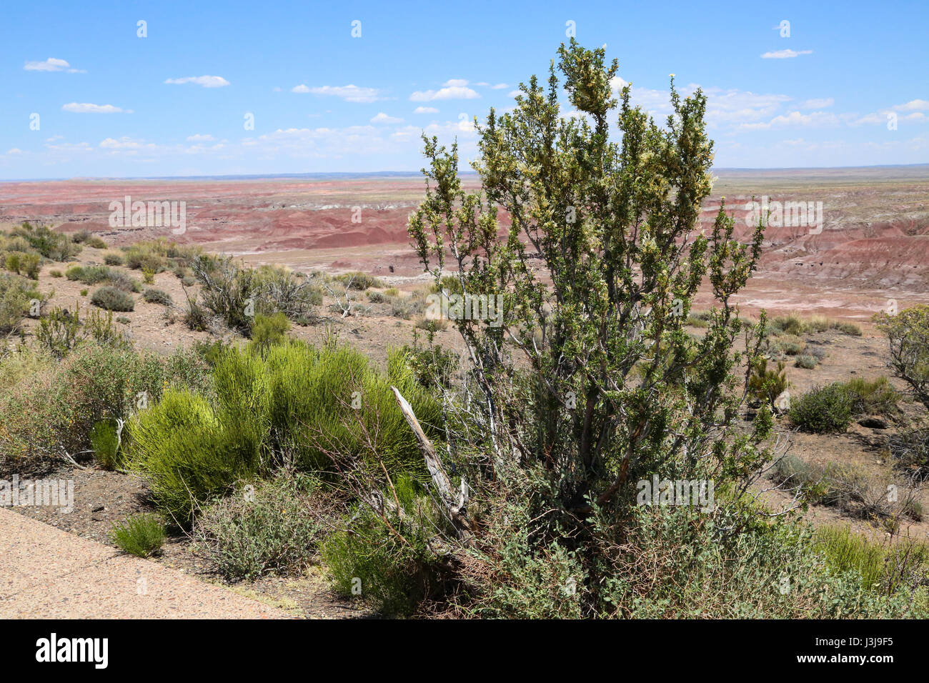 Scene at the Painted Desert Visitor Center in Arizona Stock Photo - Alamy