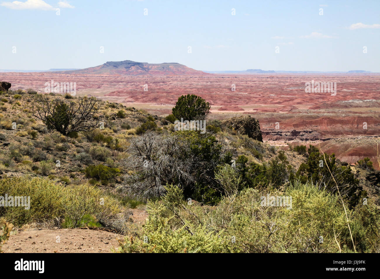Scene at the Painted Desert Visitor Center in Arizona Stock Photo - Alamy