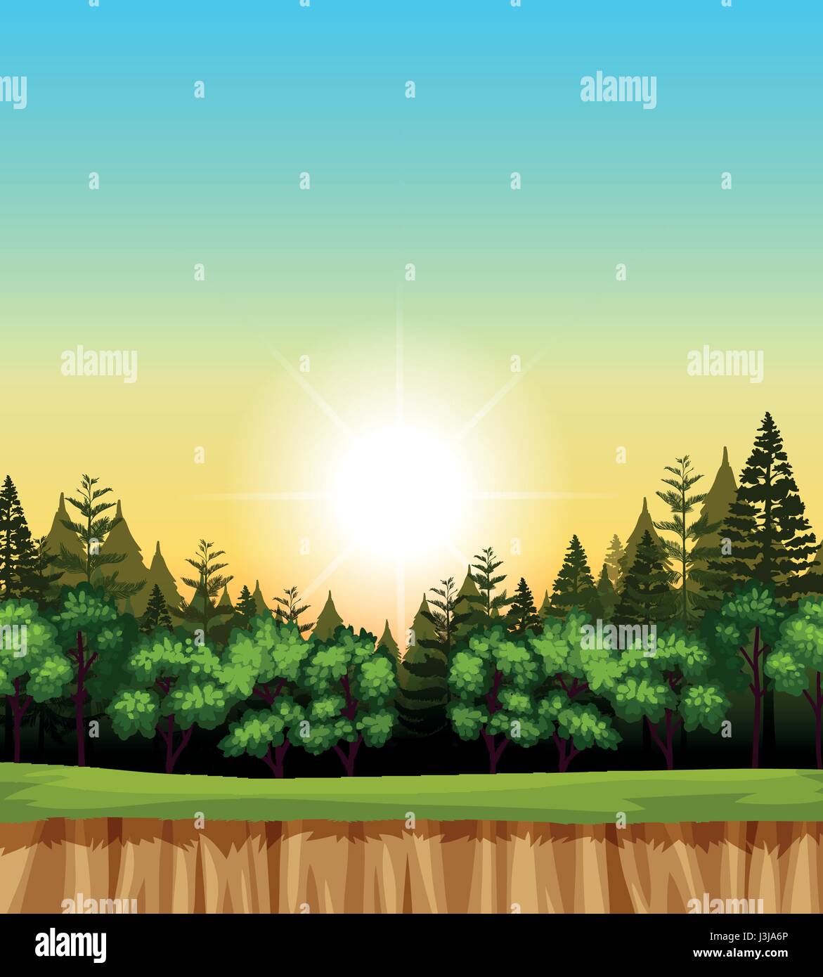 Forest scene with trees on the cliff illustration Stock Vector Image ...