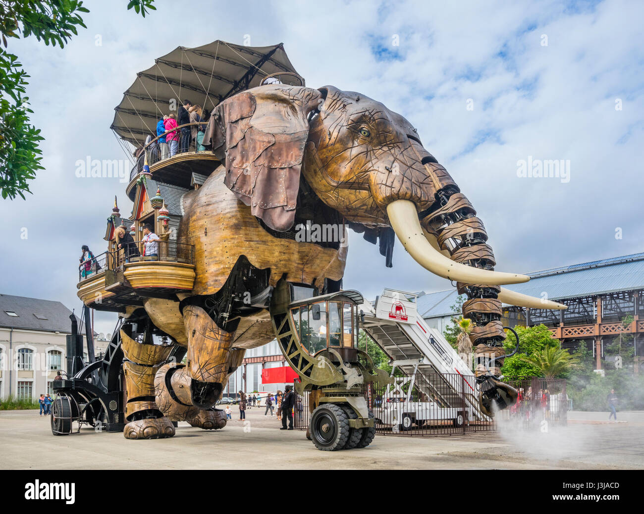 Project Elephant High Resolution Stock Photography and Images - Alamy