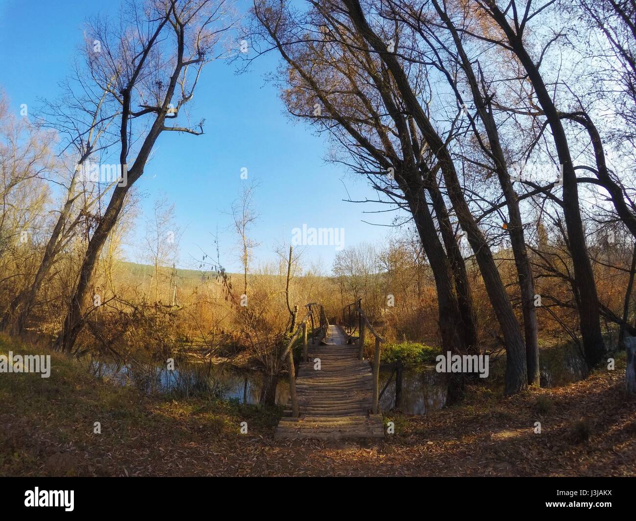 Autumn - Old bridge in autumn misty park Stock Photo - Alamy
