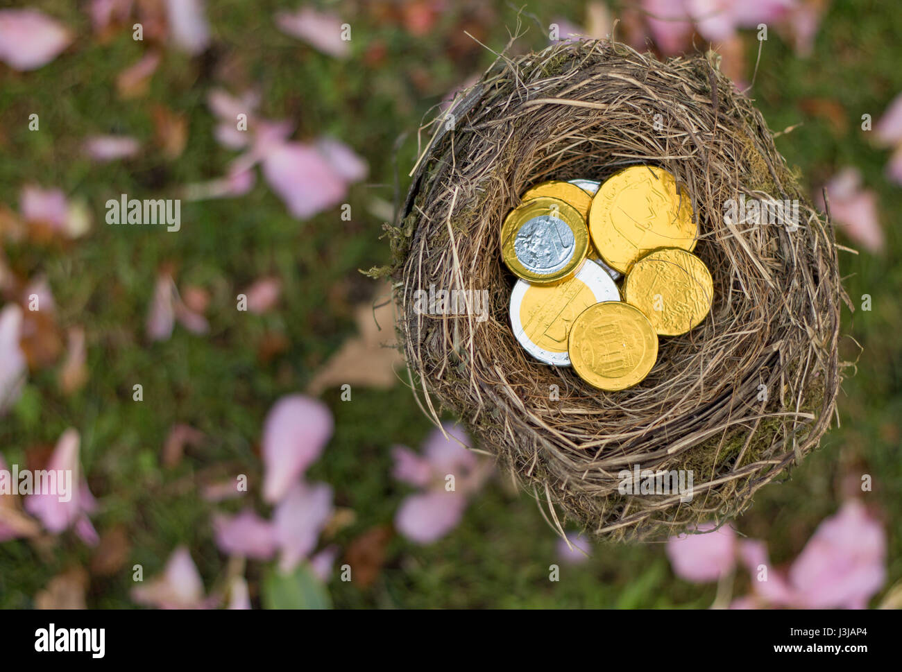 Bird nest with coin money in it Stock Photo - Alamy
