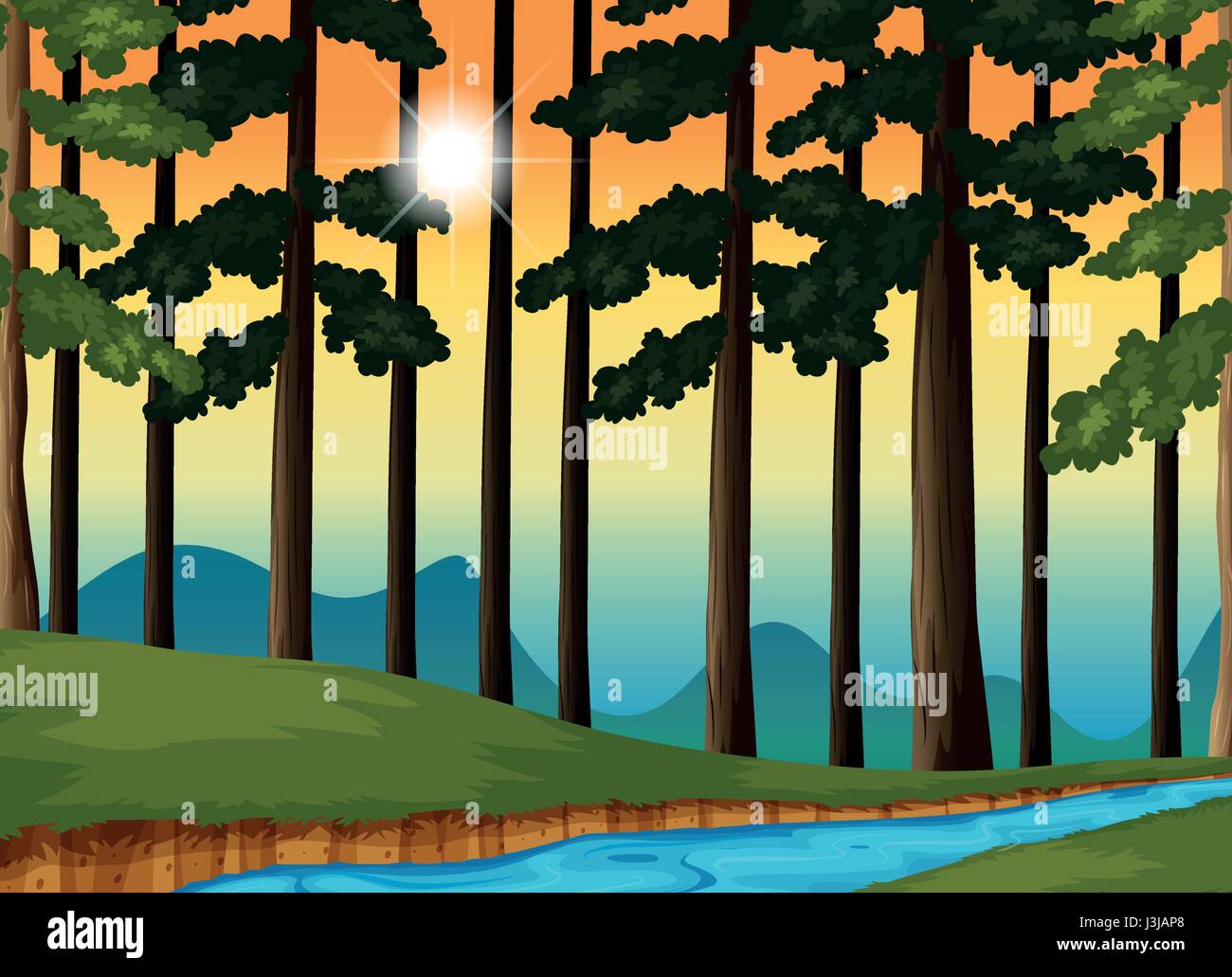 Forest scene at sunset illustration Stock Vector Image & Art - Alamy