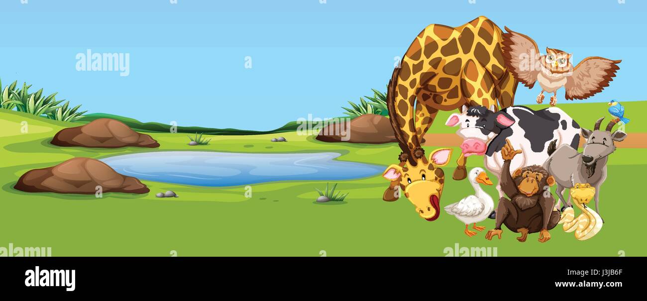 Wild animals living by the pond illustration Stock Vector Image & Art ...