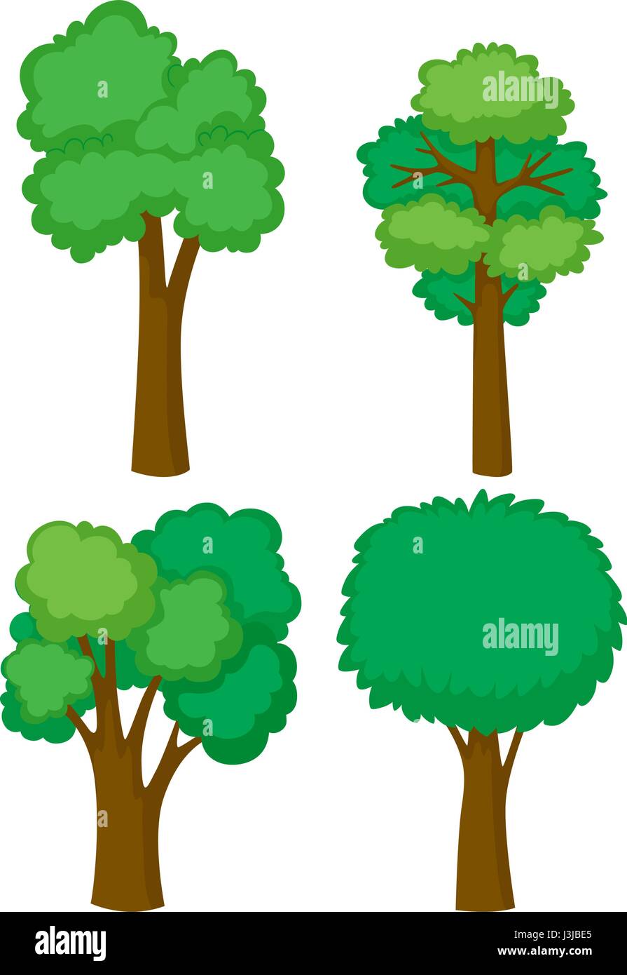 Four shapes of trees illustration Stock Vector Image & Art - Alamy