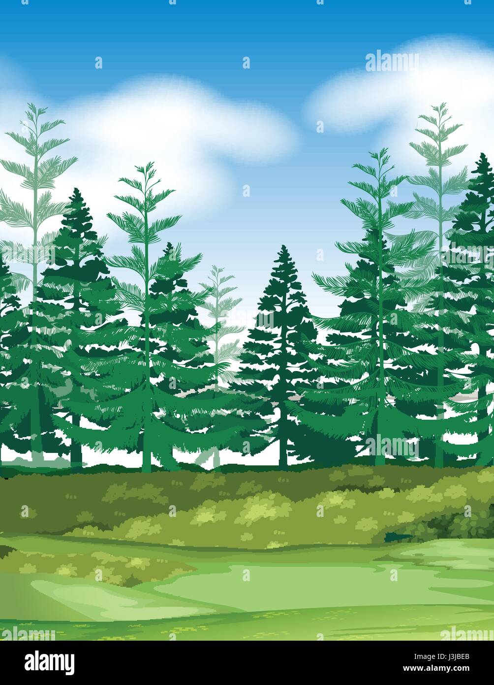 Cartoon Pine Tree Forest