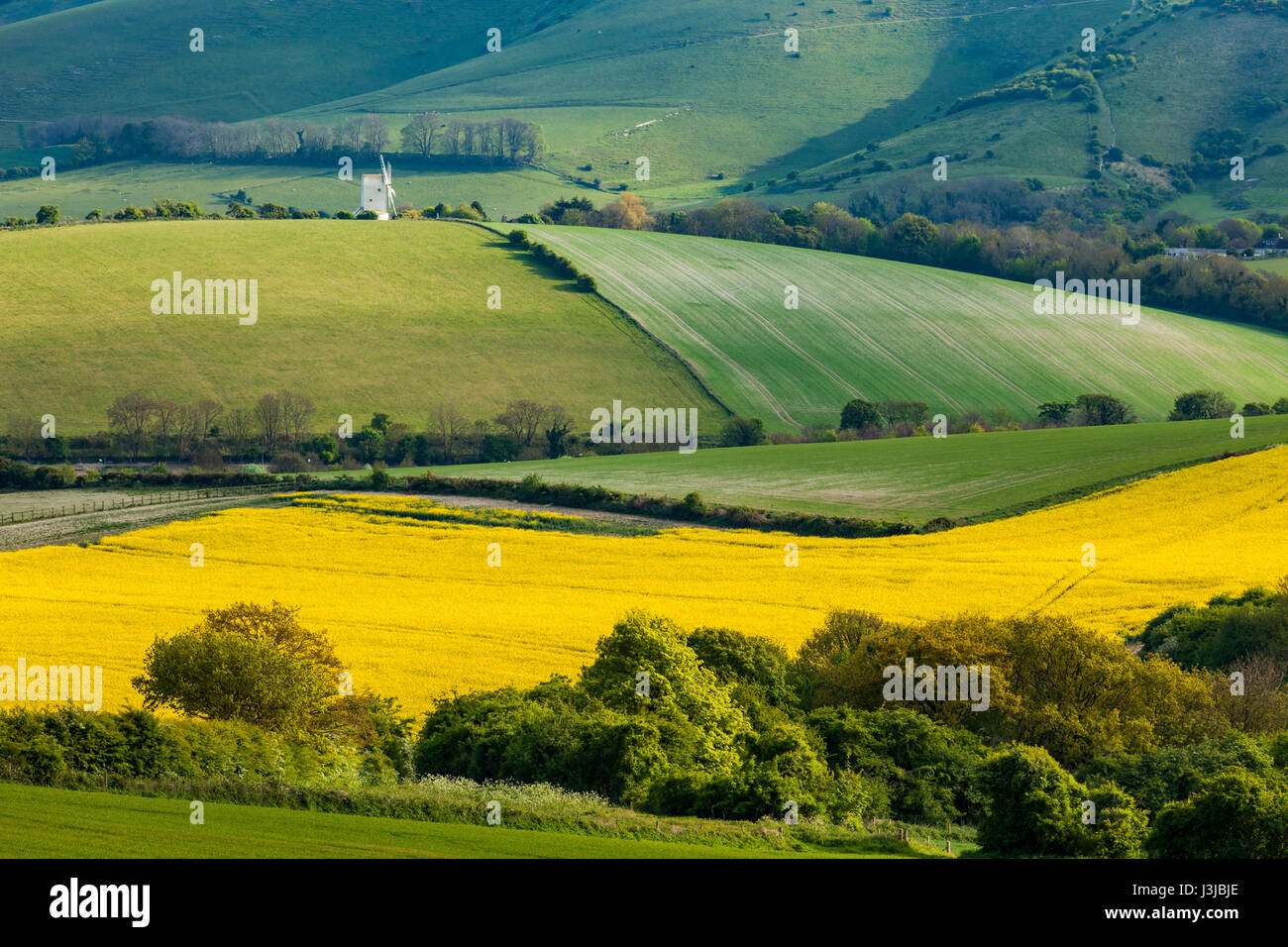 Spring afternoon in South Downs National Park, East Sussex, England ...