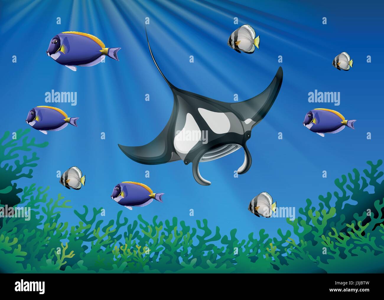 Stingray and many fish under the ocean illustration Stock Vector Image ...
