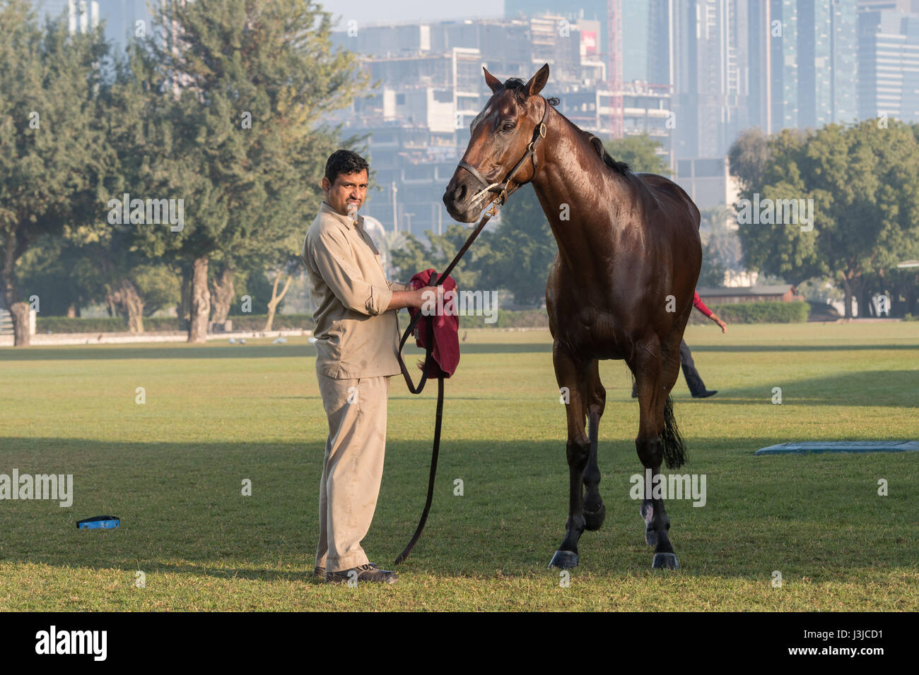 United Arab Emirates - Man stands with racing horse in the sunlight in ...