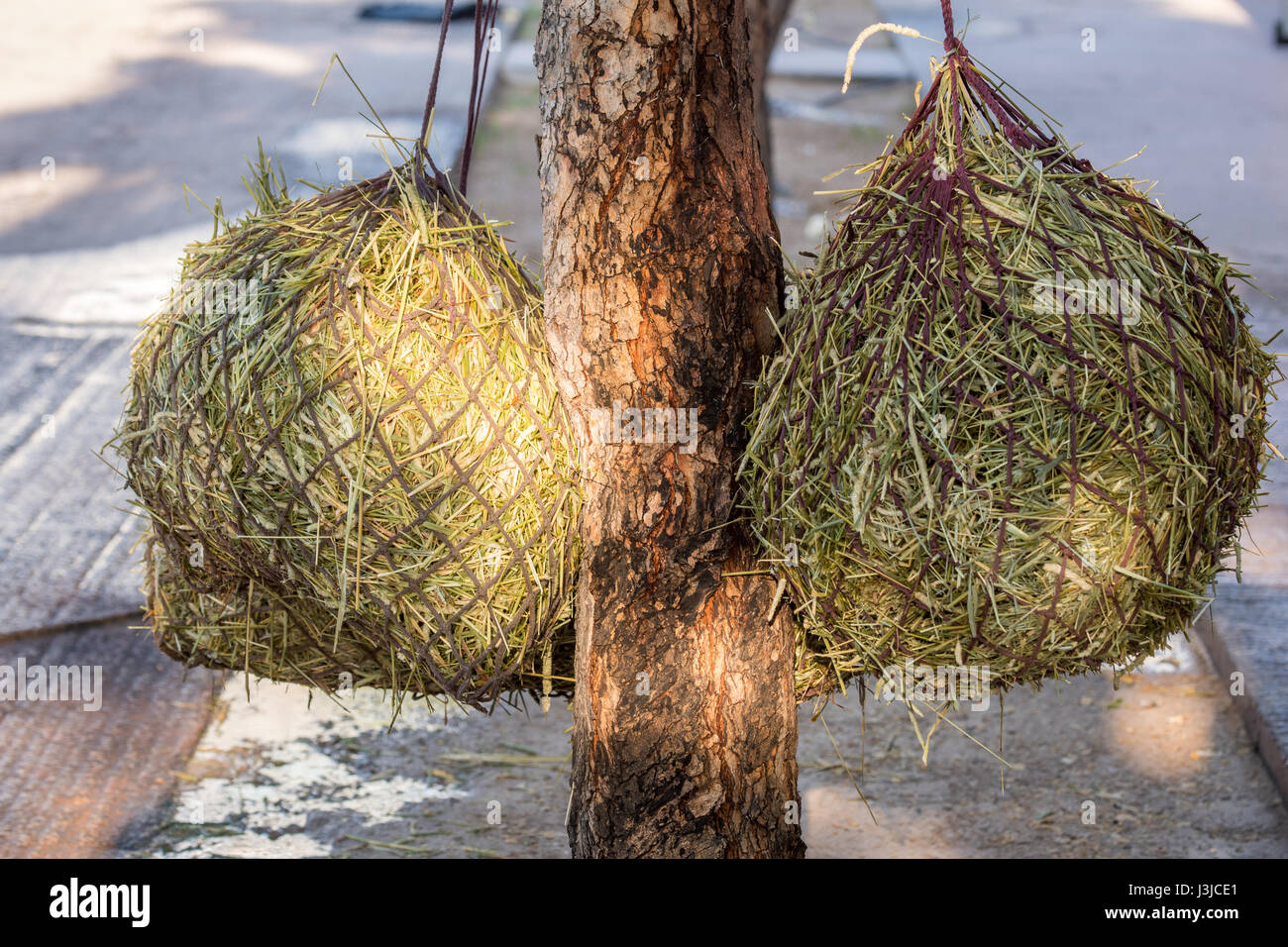 Hanging hay hi-res stock photography and images - Alamy