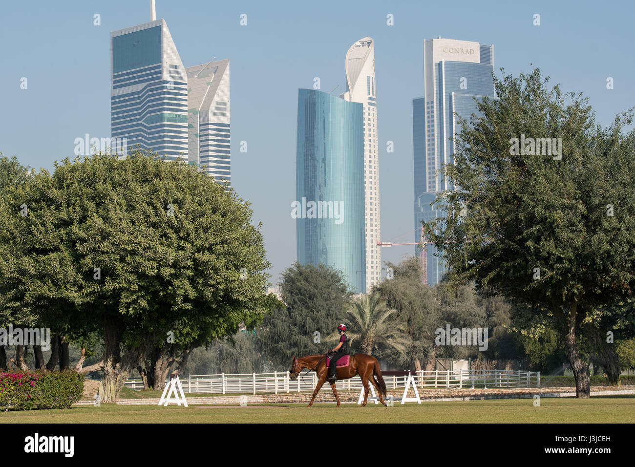 United Arab Emirates - Horse and rider on track with cityscape of Dubai ...