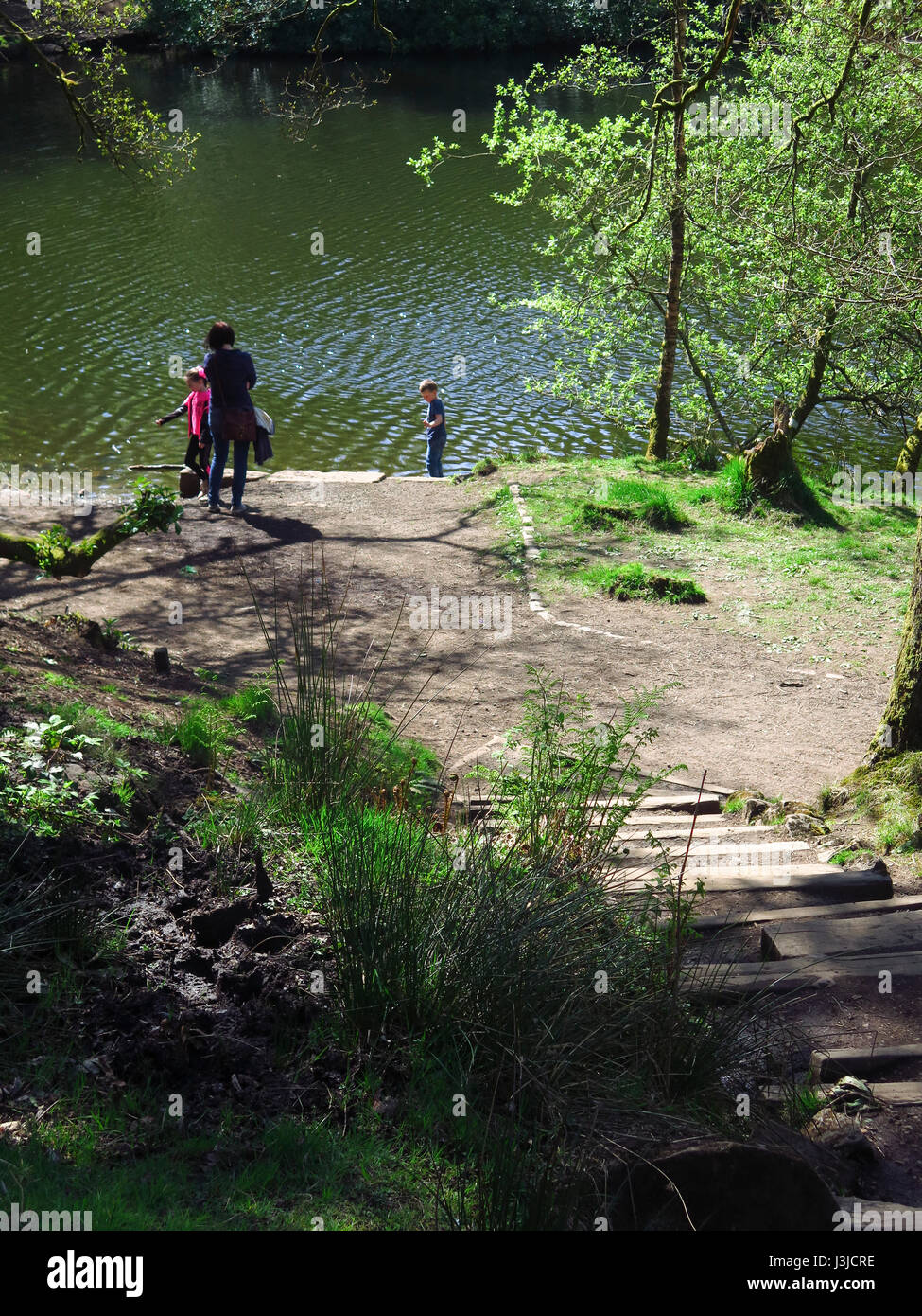 Craigend Pond Mugdock Country Park Milngavie Glasgow Stock Photo - Alamy