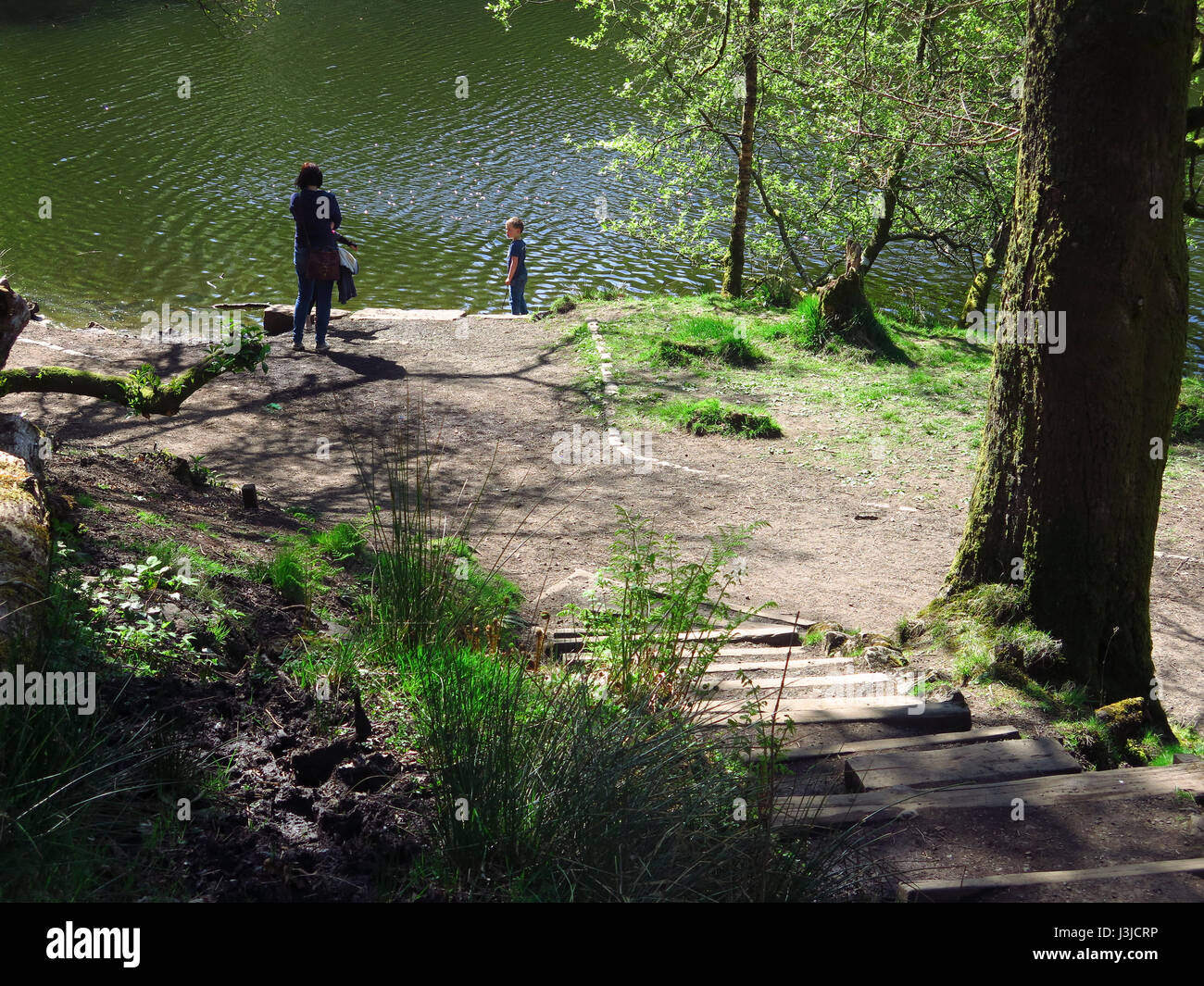Craigend Pond Mugdock Country Park Milngavie Glasgow Stock Photo - Alamy