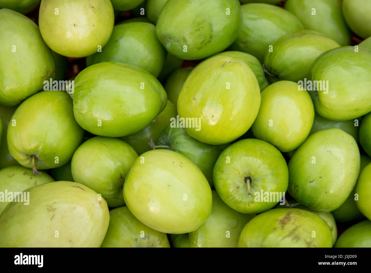 Vegetable market Abu Dhabi - Vegetable market Abu Dhabi - United Arab ...