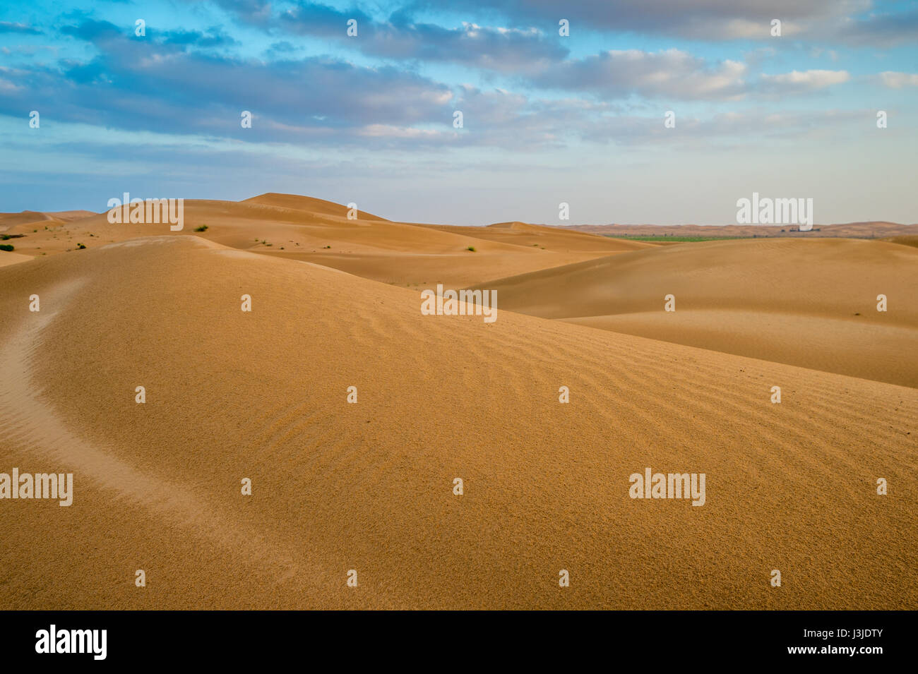 United Arab Emirates - The southern sand desert of Al Ain, Abu Dhabi ...