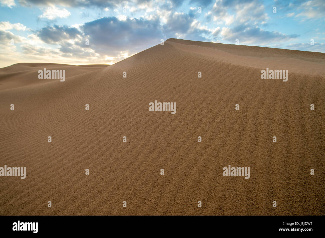 United Arab Emirates - The southern sand desert of Al Ain, Abu Dhabi ...