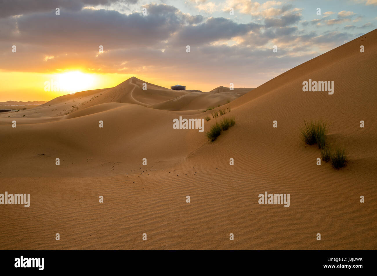United Arab Emirates - The southern sand desert of Al Ain at sunset ...