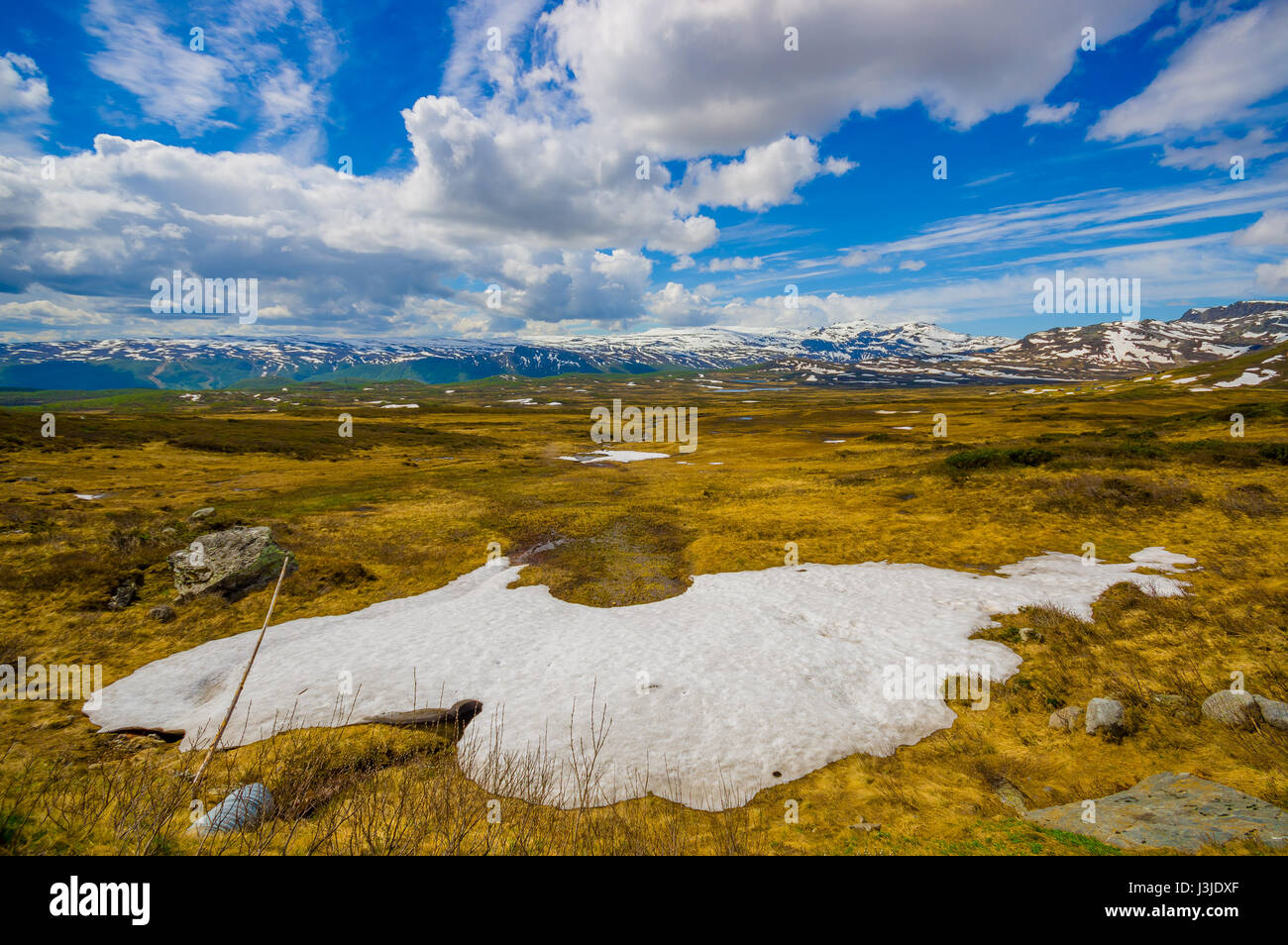 VALDRES, NORWAY - 6 JULY, 2015: Stunning nature on Valdresflya, green ...