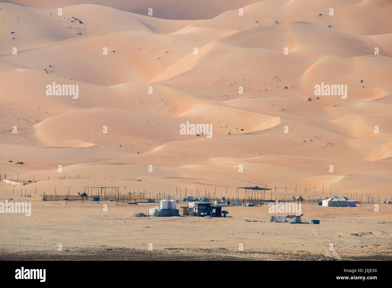 Liwa Oasis, Abu Dhabi , United Arab Emirates -i; farm in the middle of ...