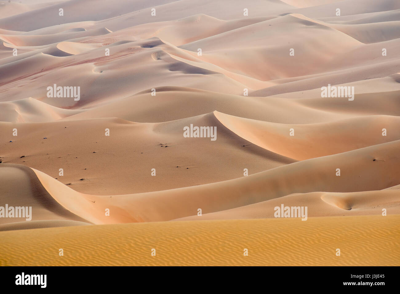 Liwa Oasis, Abu Dhabi , United Arab Emirates -i; vast number of sand ...