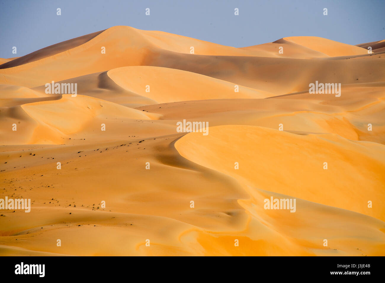 Liwa Oasis, Abu Dhabi , United Arab Emirates -i; vast number of sand ...