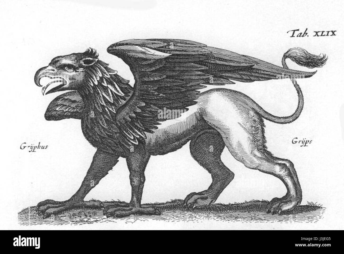 Griffioen hi-res stock photography and images - Alamy