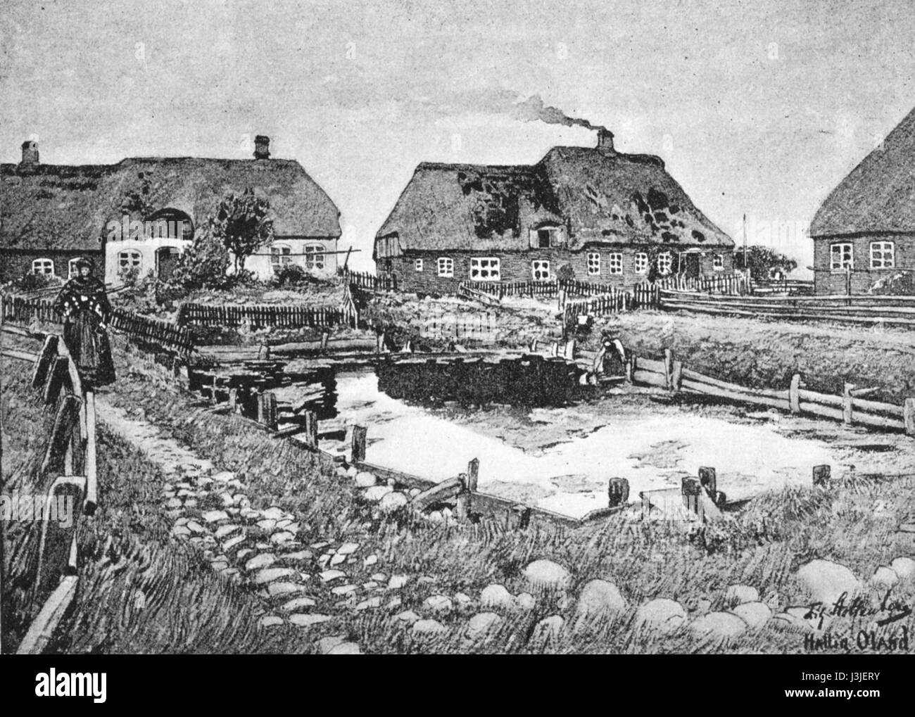 Hallig Oland Fething 01 Stock Photo - Alamy