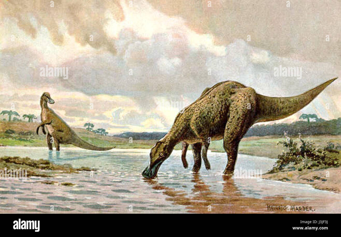 Hadrosaur hi-res stock photography and images - Alamy