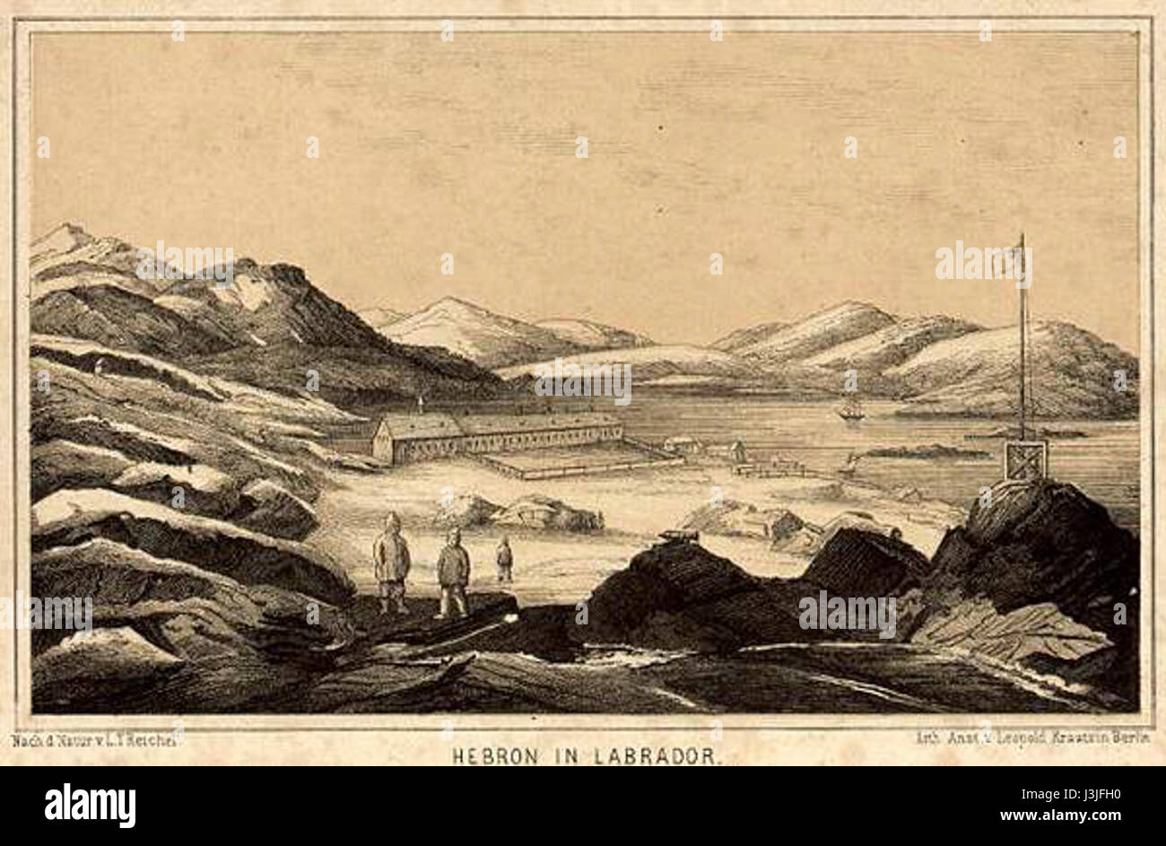 The Hebron Labrador is a breed of dog known for its intelligence ...