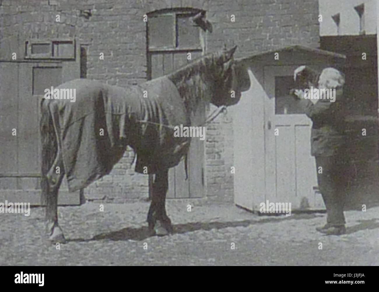 'Hans lernt offen' is a German title, which translates to 'Hans learns ...