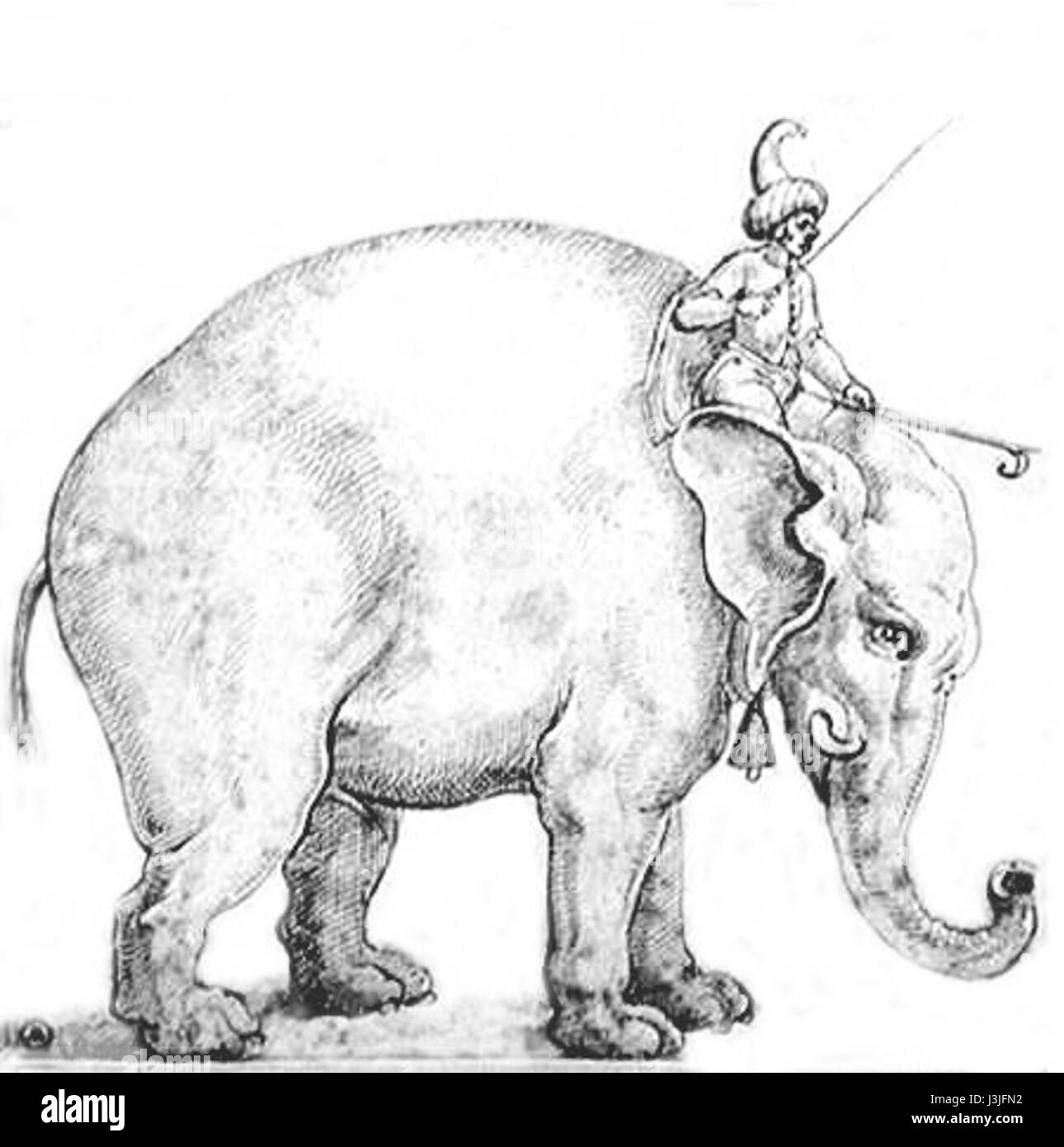 Ecological cleaning Black and White Stock Photos & Images - Alamy