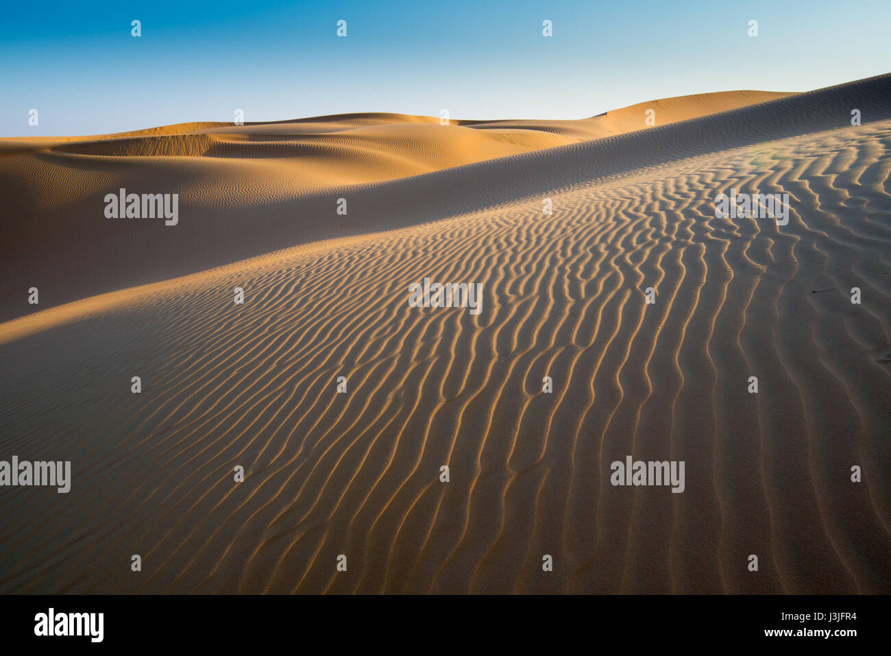 Liwa Oasis, Abu Dhabi , United Arab Emirates -, vast desert landscape ...