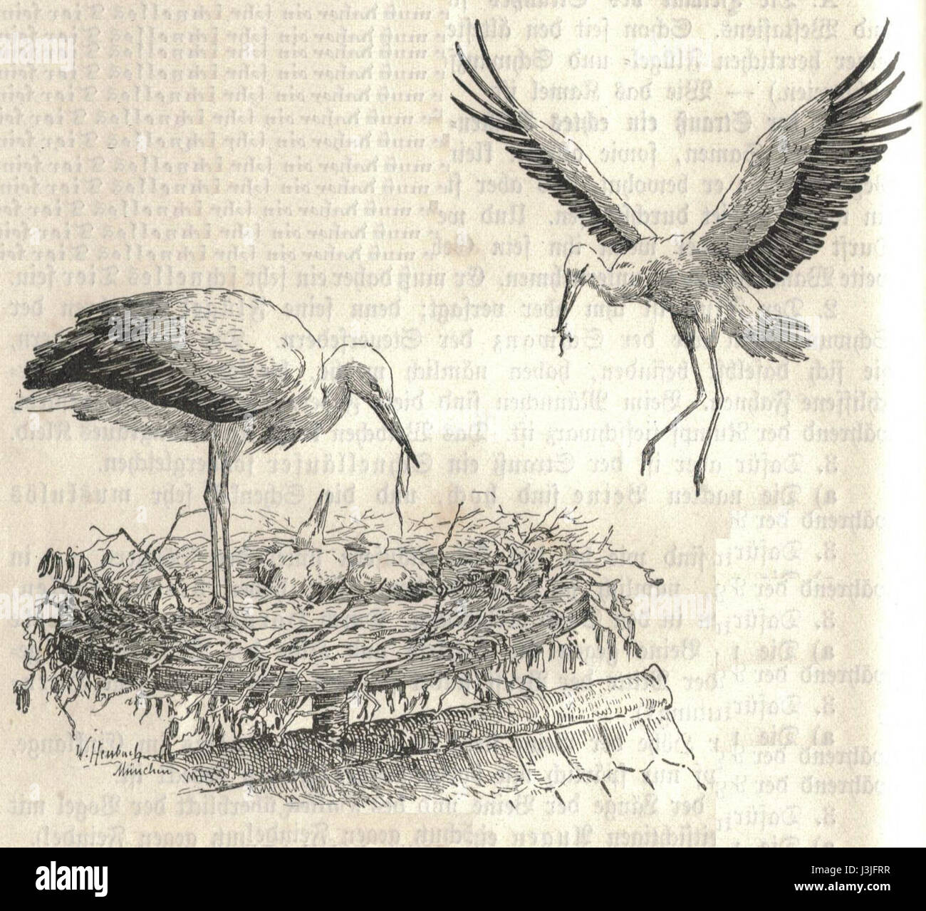 The Heubach stork is a porcelain figurine created by the Heubach ...