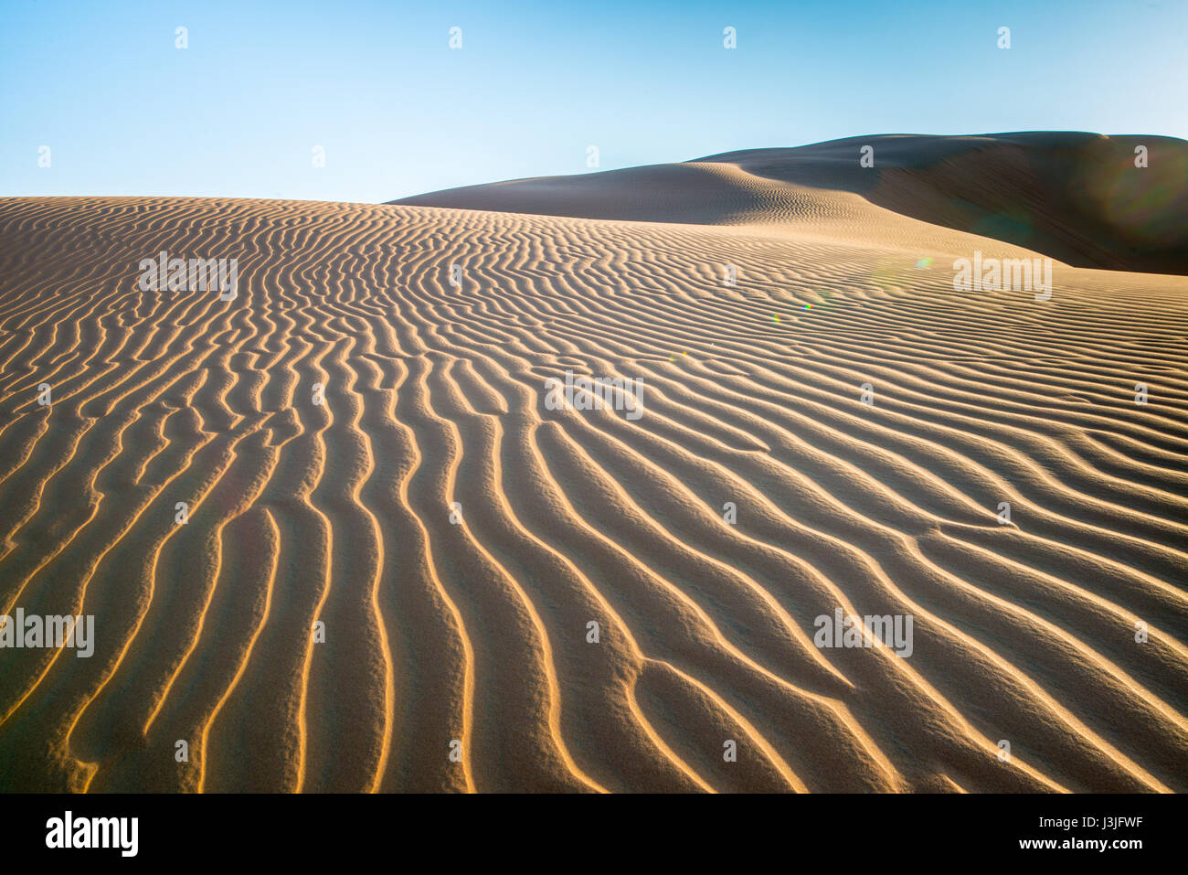 Liwa Oasis, Abu Dhabi , United Arab Emirates -, vast desert landscape ...